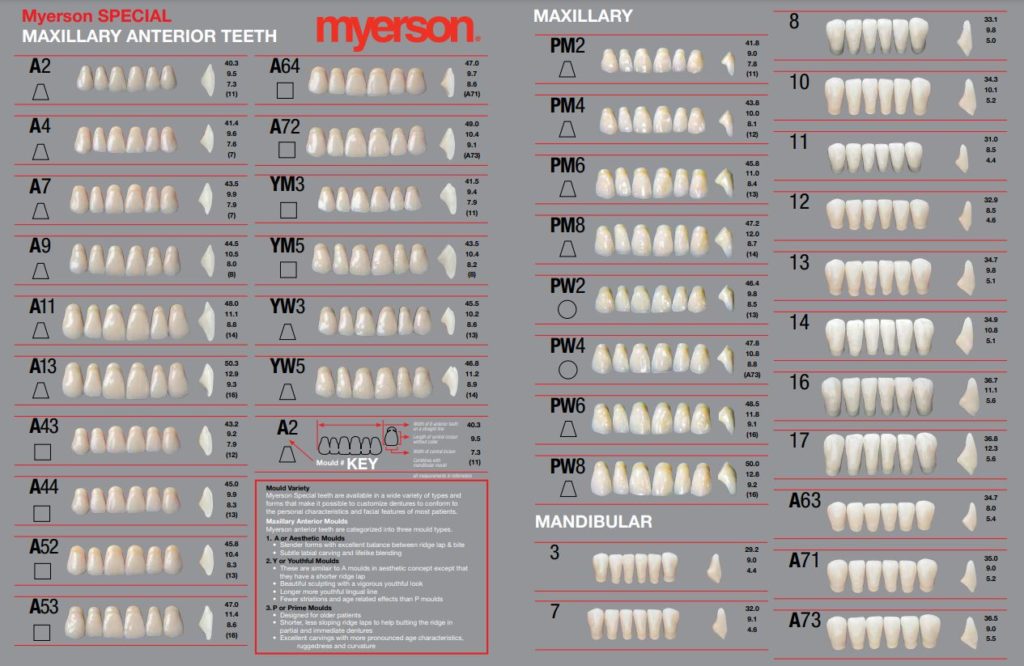 Myerson Special front - B4 - WFDental